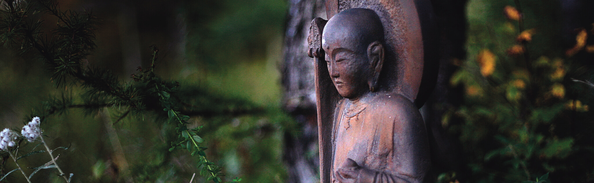 Ethics Guidelines - Zen Studies Society