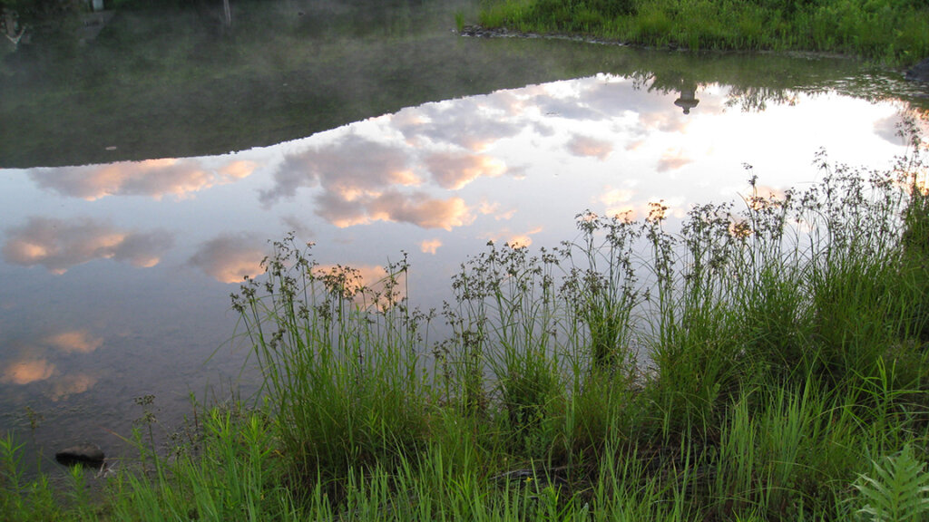 Open Space Program - Zen Studies Society