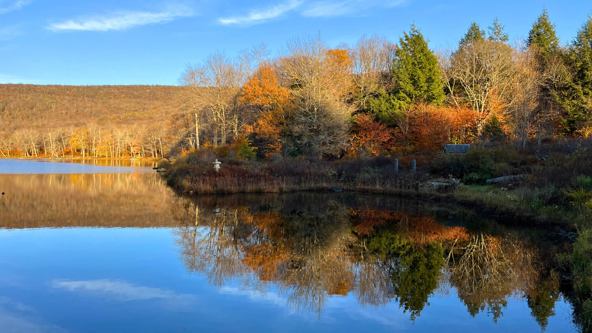 DBZ: Fall Kessei Opening Day - Zen Studies Society